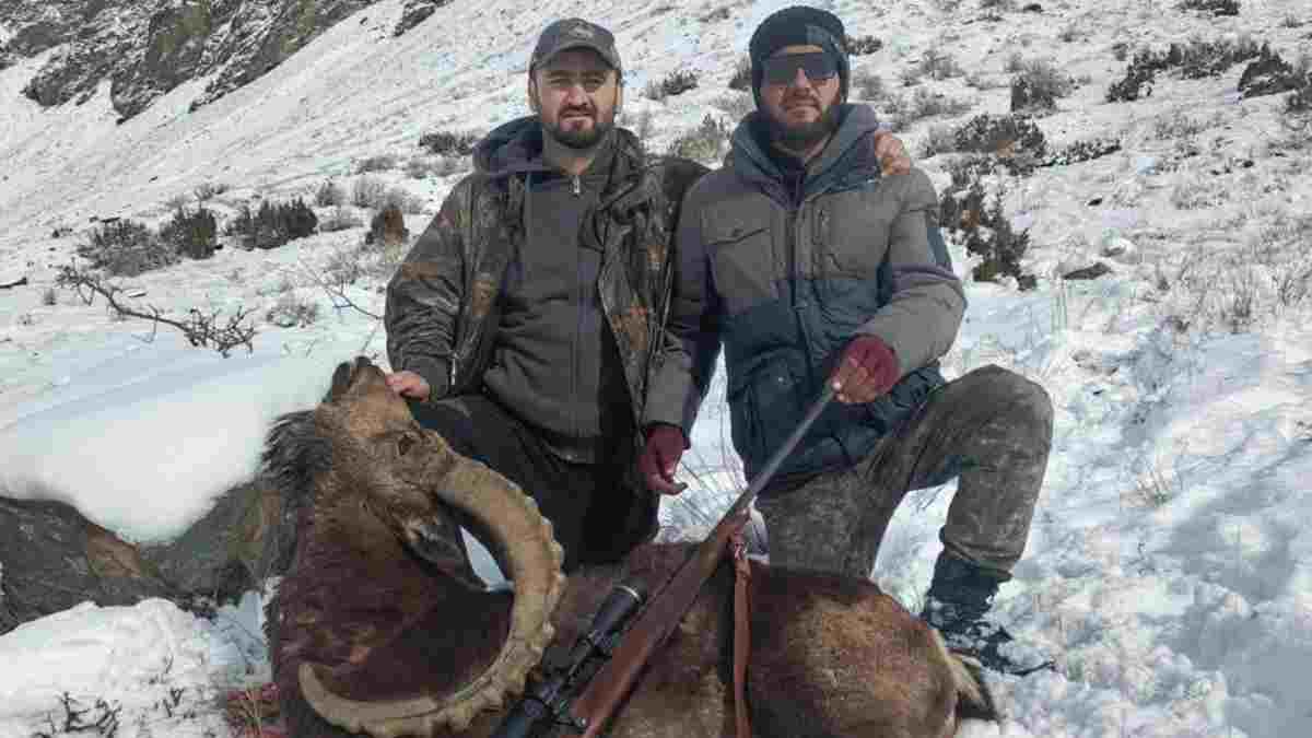 Himalayan Ibex Trophy Hunting in Chitral: Hammad Muhammad Baig Secures ...